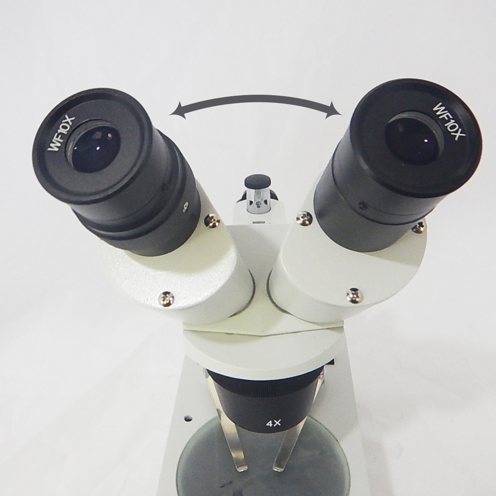 กล้องสเตอริโอสองตา Iris รุ่น ST3024R-2L - Intereducation Supplies