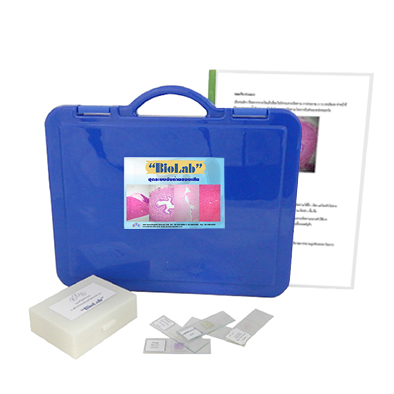 ชุดระบบขับถ่ายของเสีย - Intereducation Supplies